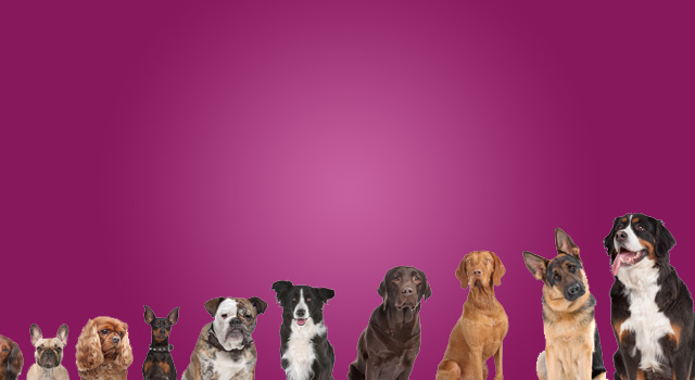 Goodna Produce | All Your Rural Produce & Pet Needs Under One Roof